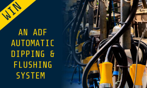 Herd Management | The Dairy Site