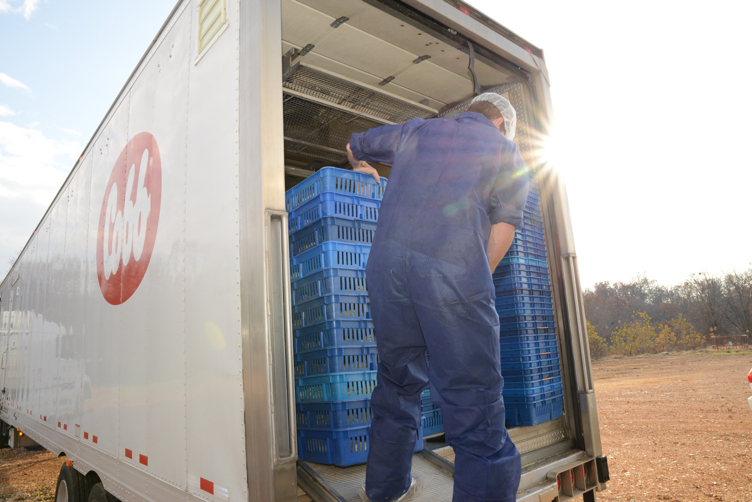 Cobb Breeder Administration Information: Pre-placement guidelines ...