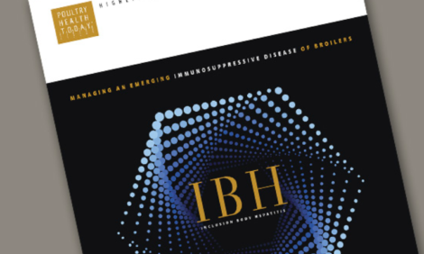 The Poultry Site | Home