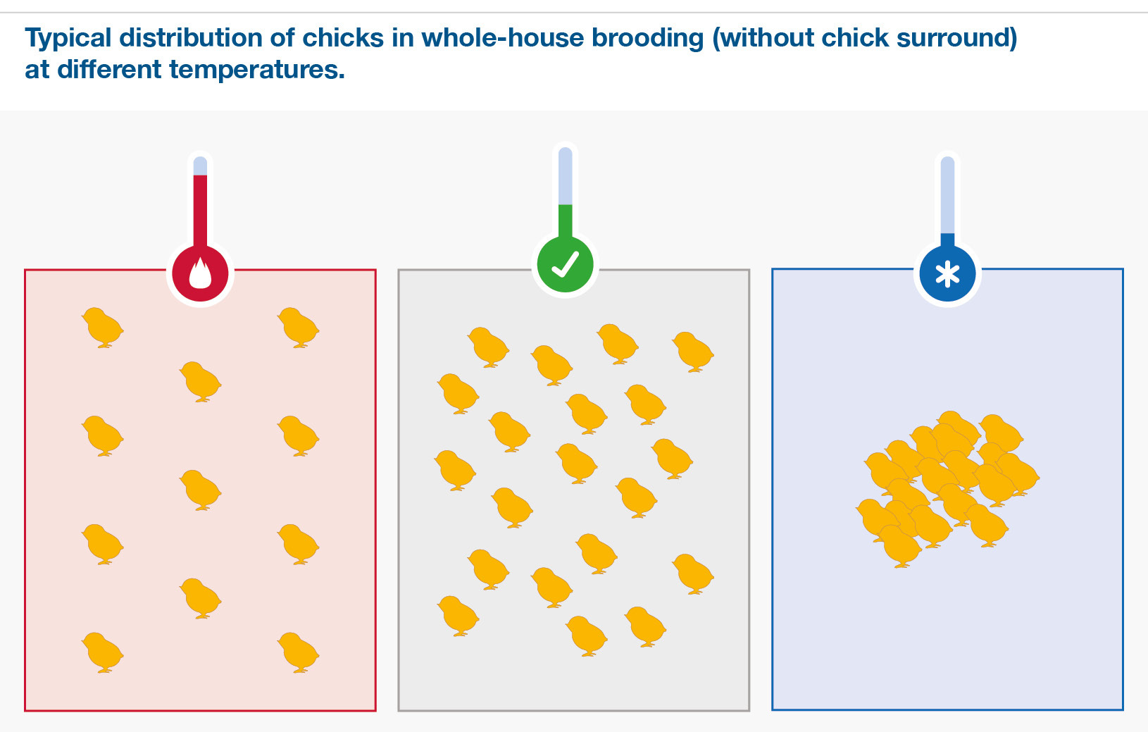 A guide for farm preparation, chick quality, placement, behaviour ...